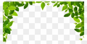 Jungle Border Clipart, Transparent PNG Clipart Images Free Download ...