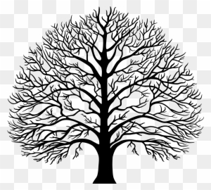 Symmetry Tattoos Pinterest - Tree Of Wisdom Vector - Free Transparent ...