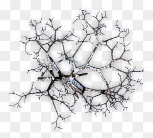 06 Feb 2009 - Dead Tree Top Down - Free Transparent PNG Clipart Images ...