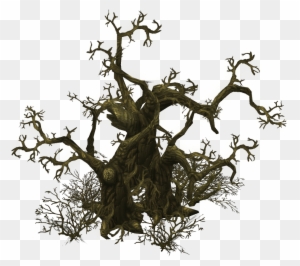 185k Tree Dead 2 - Dead Tree Top View Png - Free Transparent PNG ...