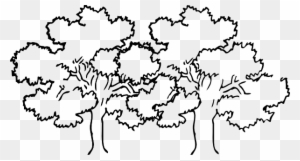 Narra Tree Clipart Black And White - Раскраска Баобаб - Free ...