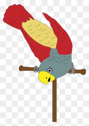 Perch On A Wailord - Cartoon - Full Size PNG Clipart Images Download