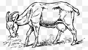 Mean Goat Clipart - Angry Goat Clipart - Free Transparent PNG Clipart ...
