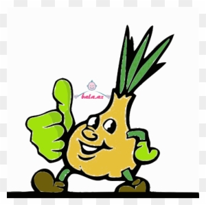 Vegetable, Transparent PNG Clipart Images Free Download - ClipartMax