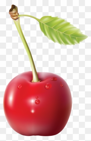 Single Cherry Clipart