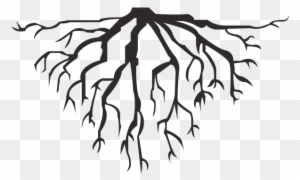 Root - Tree Roots - Free Transparent PNG Clipart Images Download