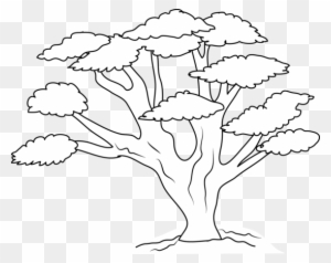 Narra Tree Clipart Black And White - Раскраска Баобаб - Free ...