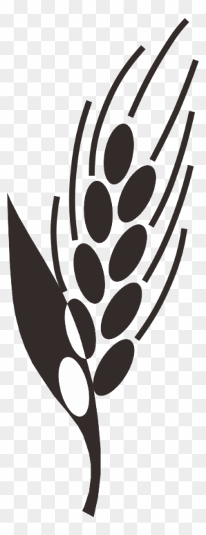 Rice Paddy Field Grasses Clip Art - Clipart Rice Field - Free ...