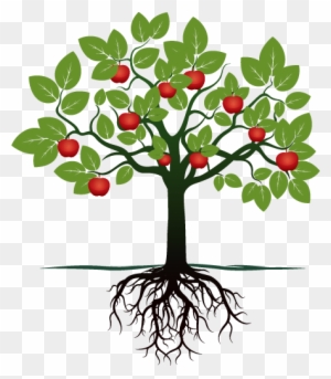 Fruit Tree With Roots - Free Transparent PNG Clipart Images Download