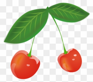 Cherry - Gambar Buah Cherry Merah - Free Transparent PNG Clipart Images ...