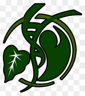 Pacific Biosciences Research Center Logos - Health - Free Transparent ...