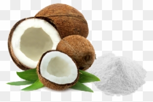 Coconut Powder - Coconut Powder - Free Transparent PNG Clipart Images ...