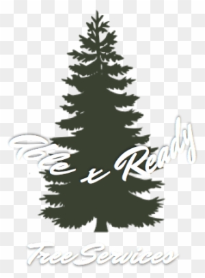 Able And Ready Logo - Pine Tree Clip Art - Free Transparent PNG Clipart ...