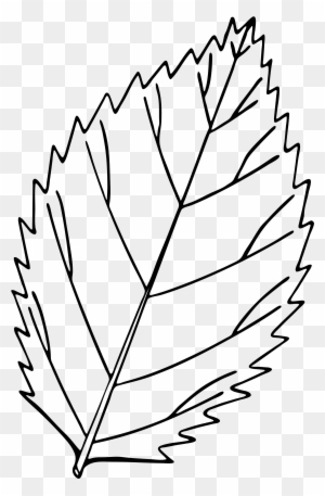 Open - Leaf Drawing Png - Free Transparent PNG Clipart Images Download
