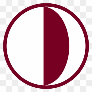 Near East University Logo -友软网络