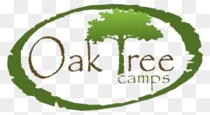 Camping Trees Clipart, Transparent PNG Clipart Images Free Download ...