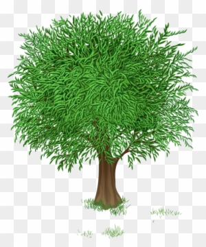 Spring Tree Clipart 20, - Four Seasons Clipart Tree Transparent - Free ...