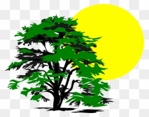 Cartoon Tree And Sun - Free Transparent PNG Clipart Images Download