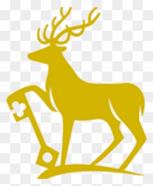 University Of Surrey Water Polo Scholarships - University Of Surrey ...