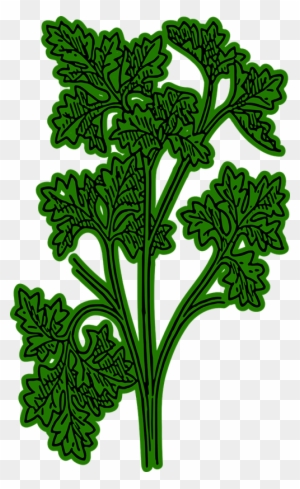 Parsley Cartoon Clipart