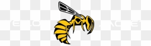 Yellow Jacket Logo - Yellow Jacket Case - Free Transparent PNG Clipart ...