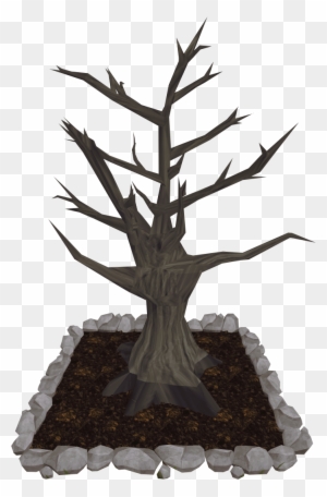 Dead Pot Plant Png - Free Transparent PNG Clipart Images Download