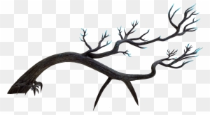 Ghost Tree Flora - Sketch - Free Transparent PNG Clipart Images Download