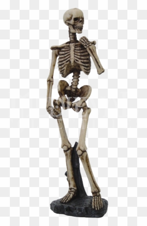 Skeleton - Corset Skeleton Sculpture - Free Transparent PNG Clipart ...