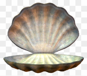 Clam Clip Art - Free Transparent PNG Clipart Images Download