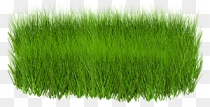 Grass Png Image, Green Grass Png Picture Grass 2d Png Free, 57% OFF