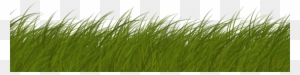 Vegetation Grass Card 03 - Grass Texture Side View - Free Transparent ...