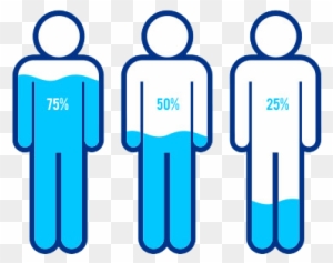 Body Water Loss - Water Percentage In Human Body - Free Transparent PNG ...