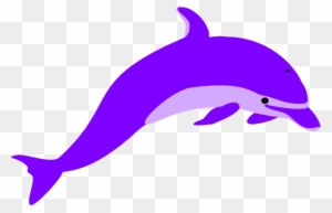 Purple Dolphin Clip Art At Bclipart Com Vector Clip - Purple Dolphin ...