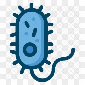 Bacteria Icon - Bacteria Icon - Free Transparent PNG Clipart Images ...