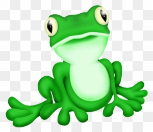 Animal Frog - Frog Web - Free Transparent PNG Clipart Images Download