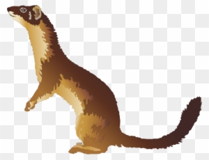 Clipart Weasel, Transparent PNG Clipart Images Free Download - ClipartMax