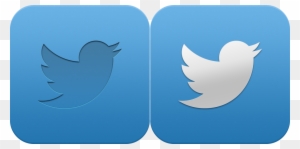 Img A1621499aa1 Bird Twitter New Single - Social Media Icons Single ...